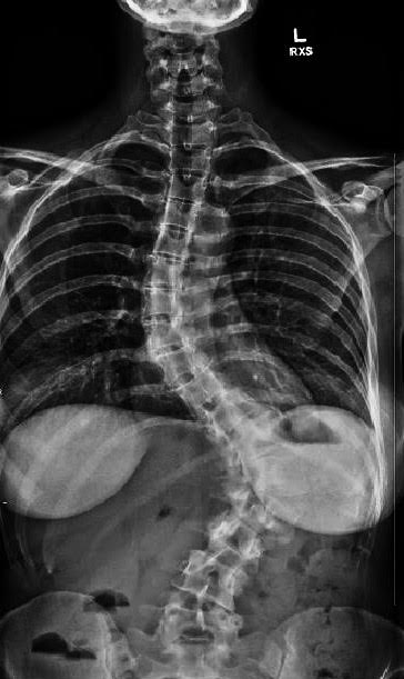 Designer Camouflage – Scolimom.com